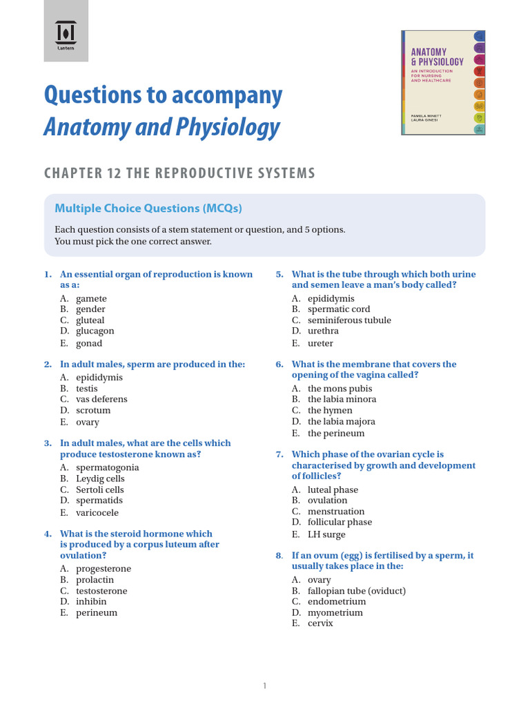 Self Assessment Questions Chapter 12 The Reproductive Systems | PDF ...