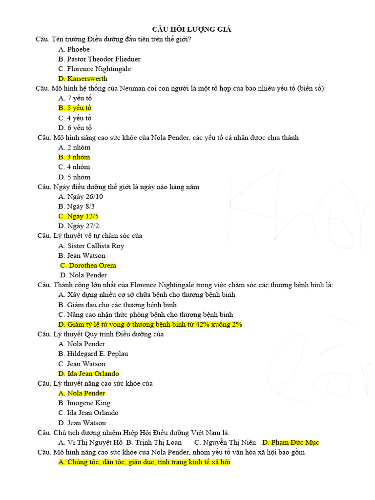 LTDD Hongy | PDF