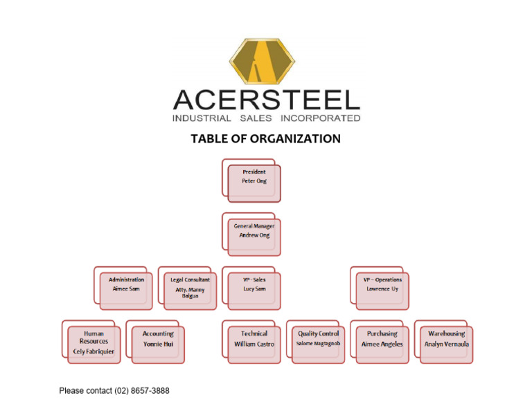 Acersteel - Table of Organization | PDF