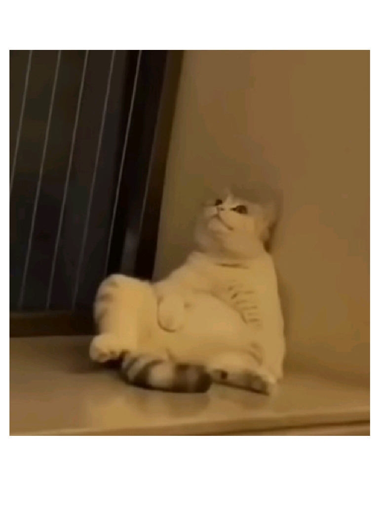 Meme | PDF