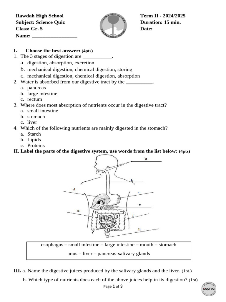 Grade 5 Science Quiz on Digestion | PDF