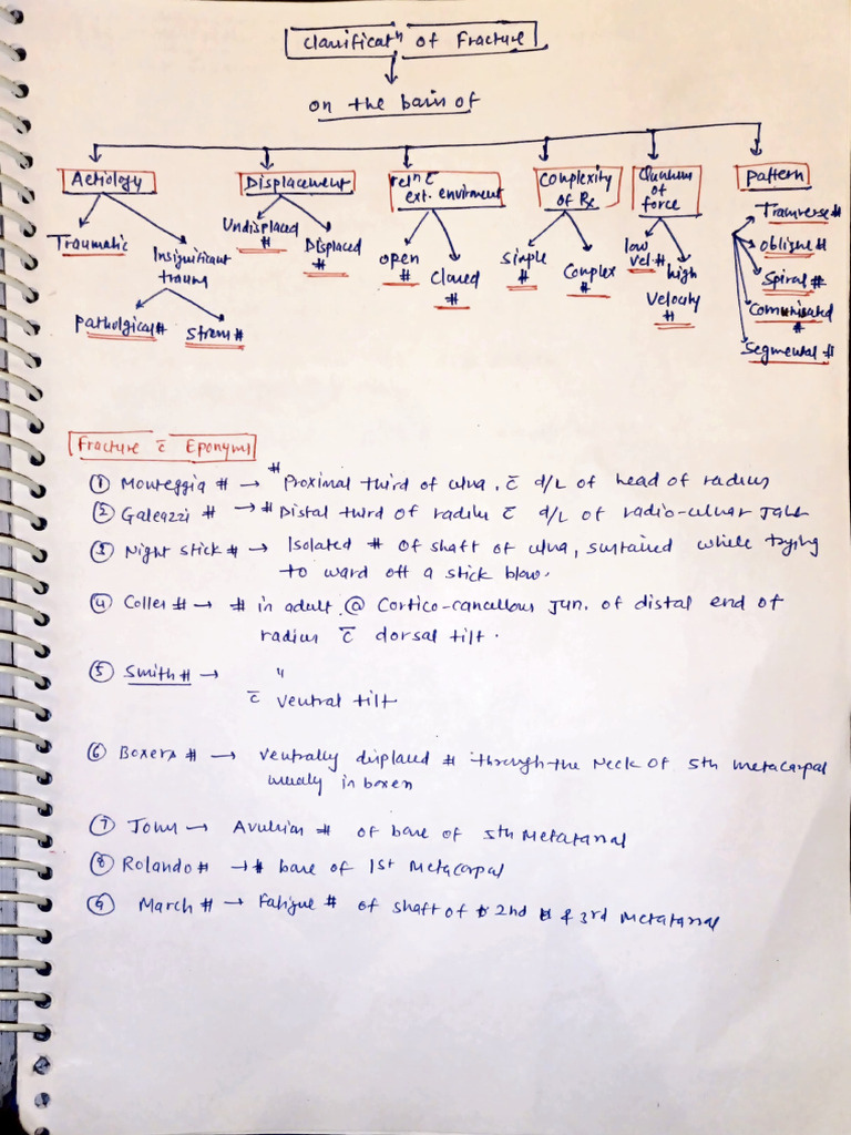 Ortho 1 | PDF