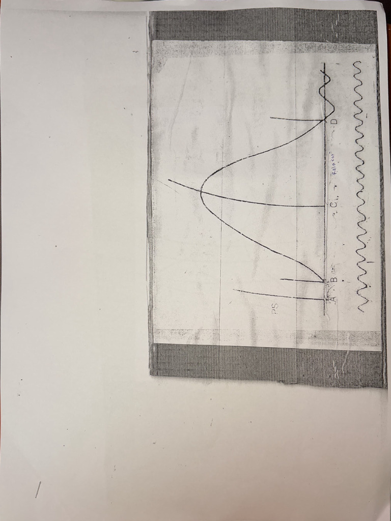 Amphibian Graphs | PDF