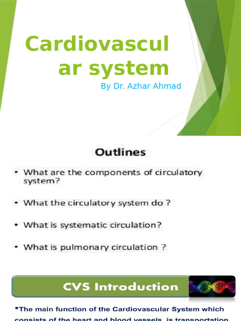 Cardiovascular System | PDF