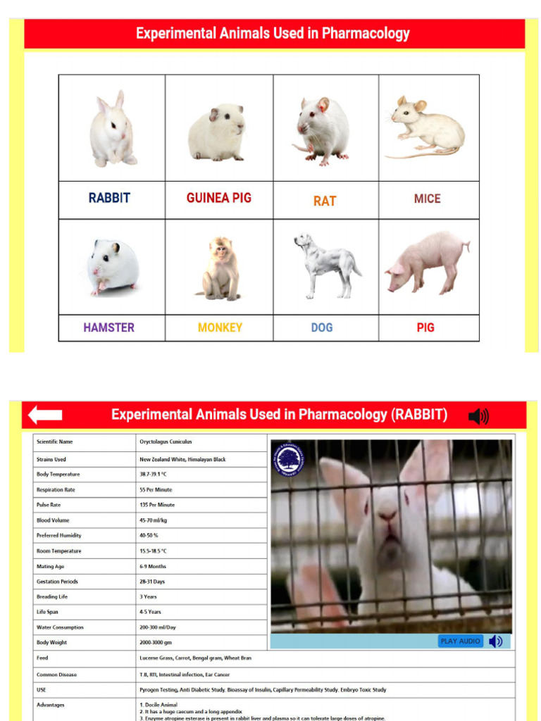 Common Laboratory Animals | PDF