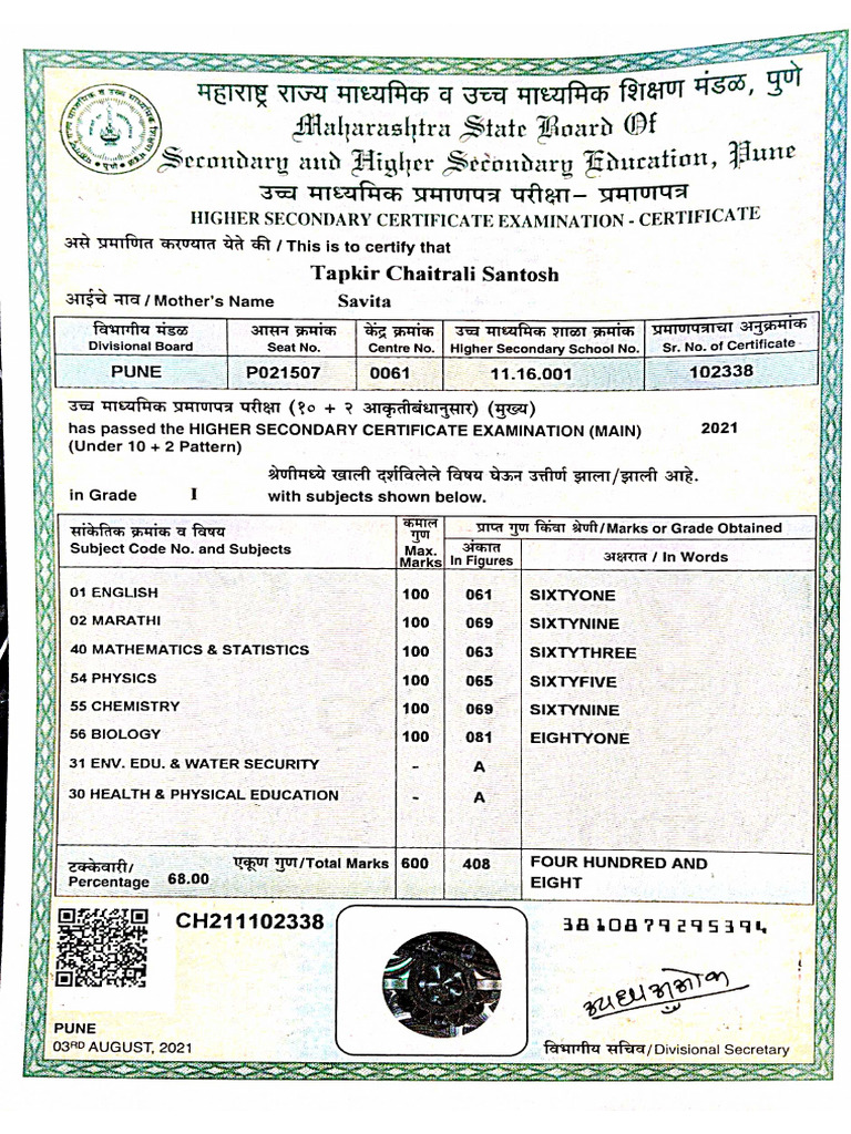 12 TH Marksheet | PDF