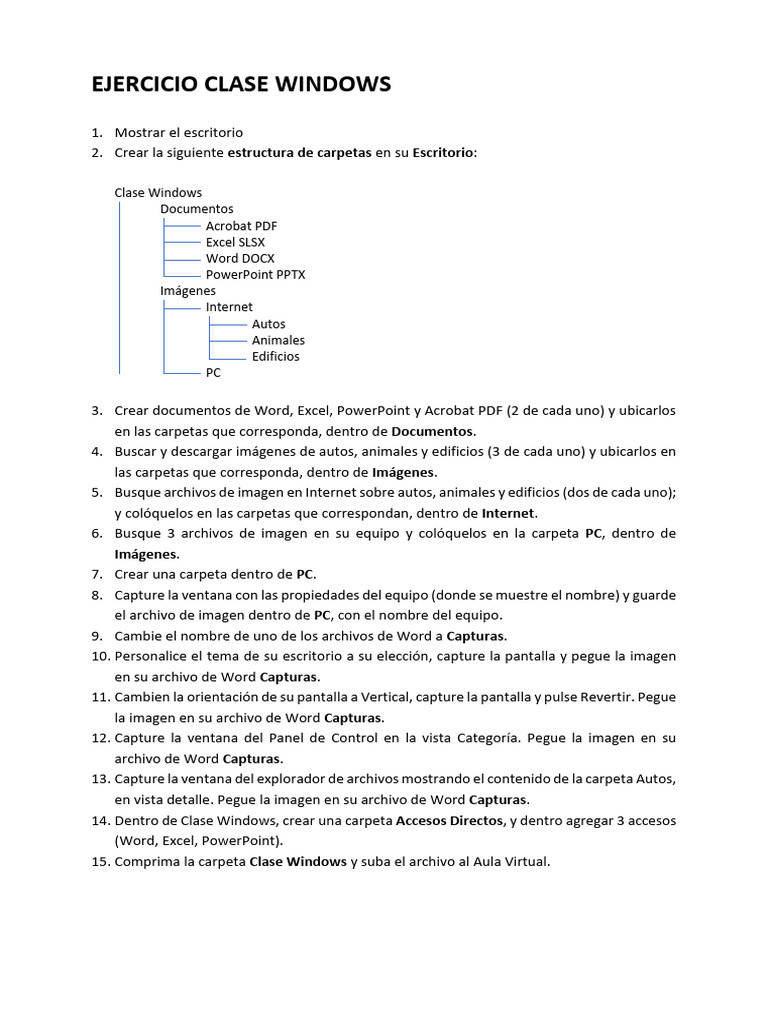 Ejercicio Clase Windows | PDF