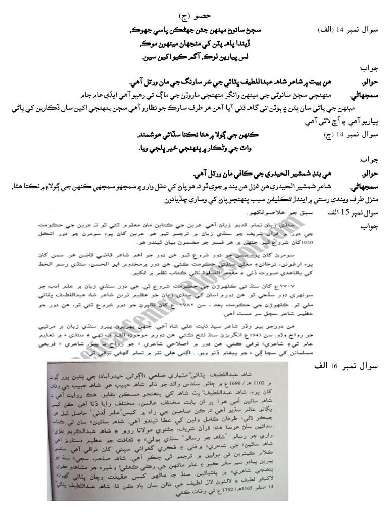 IX Sindhi Paper (G) | PDF