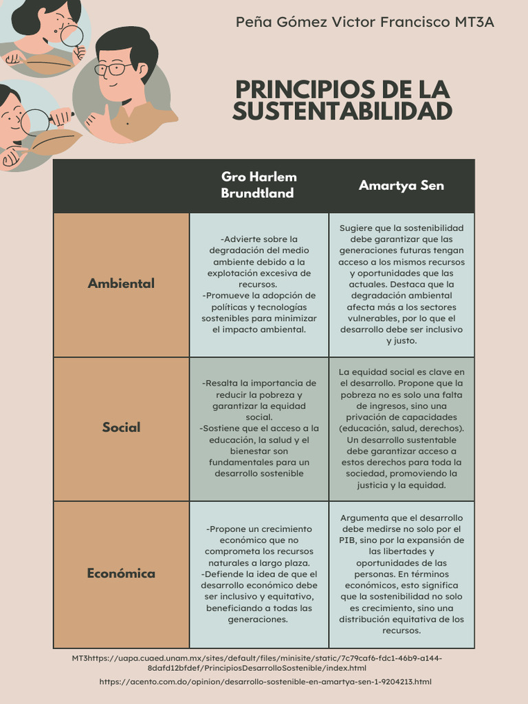 Cuadro Comparativo Principios de La Sus. | PDF | Sustentabilidad | Desarrollo sostenible