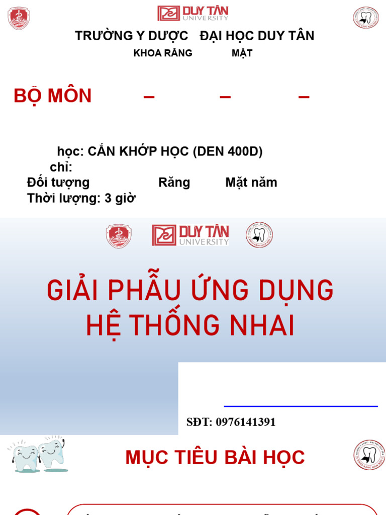 Giải phẫu HTN | PDF