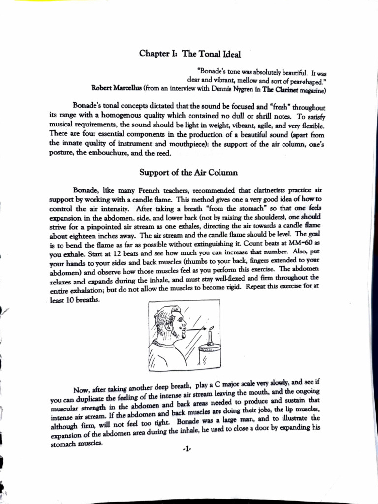 The Daniel Bonade Workbook | PDF | Clarinet | Elementary Organology