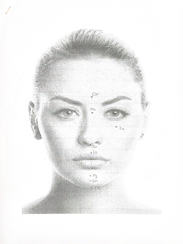 Archivo Adjunto 1 3 | PDF