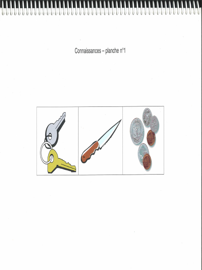 Nemi-3 Administration | PDF