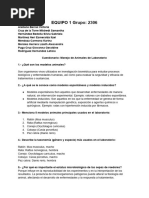 Anatomía y Cuidados de la Rata Wistar | PDF
