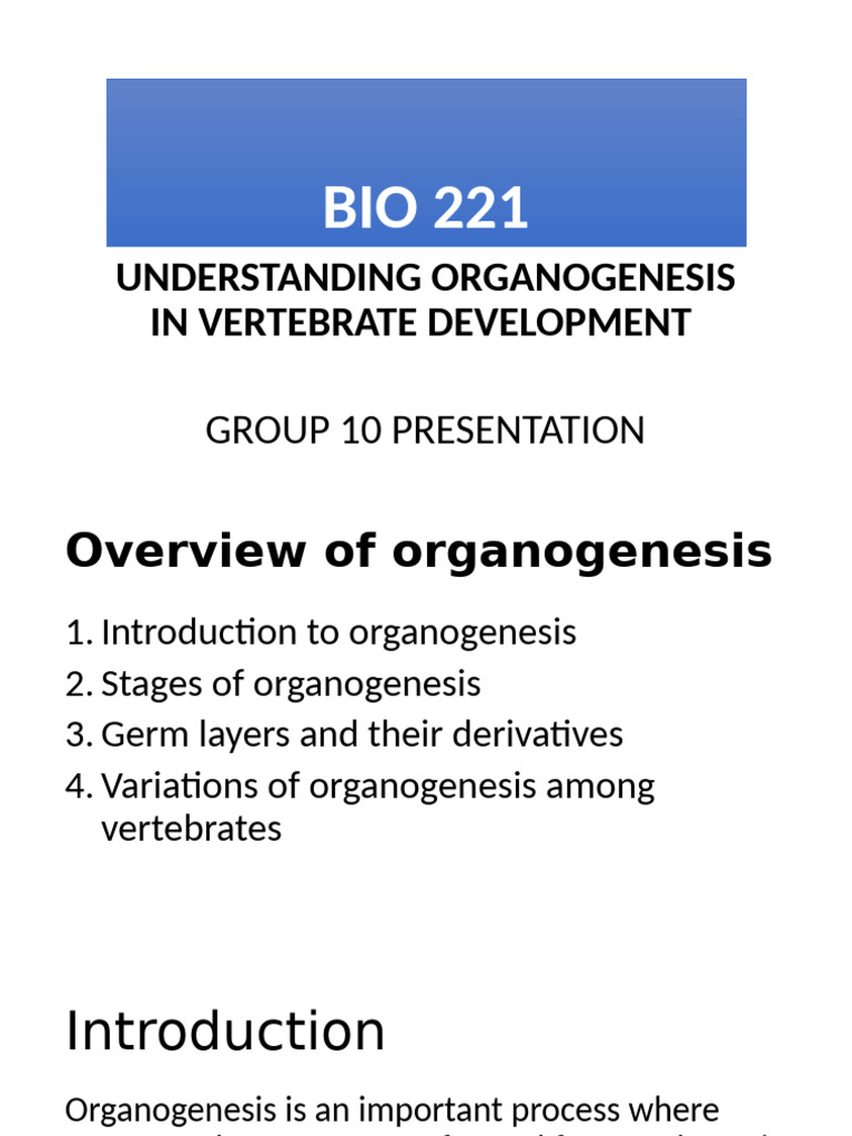 BIO 221 Group 10 | PDF | Developmental Biology | Embryo