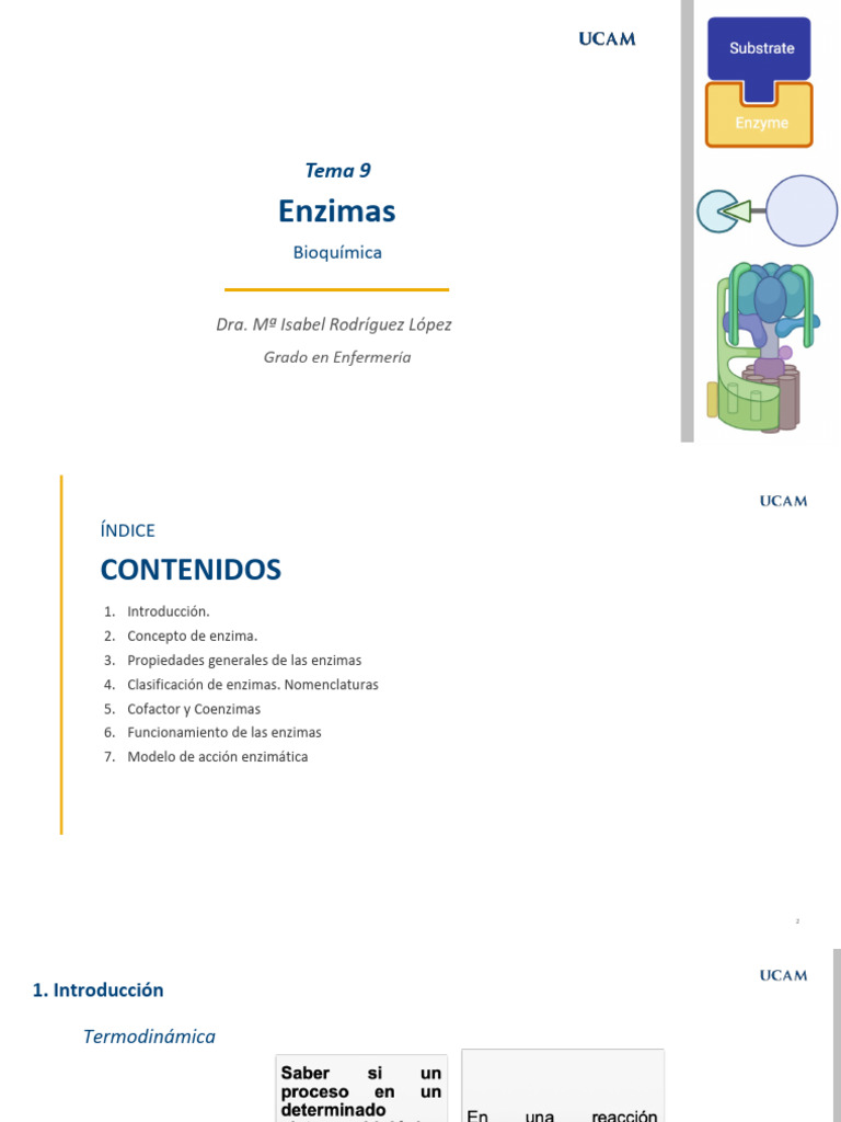 Tema 9 Enzimas-22-23 | PDF | Enzima | Cofactor (Bioquímica)