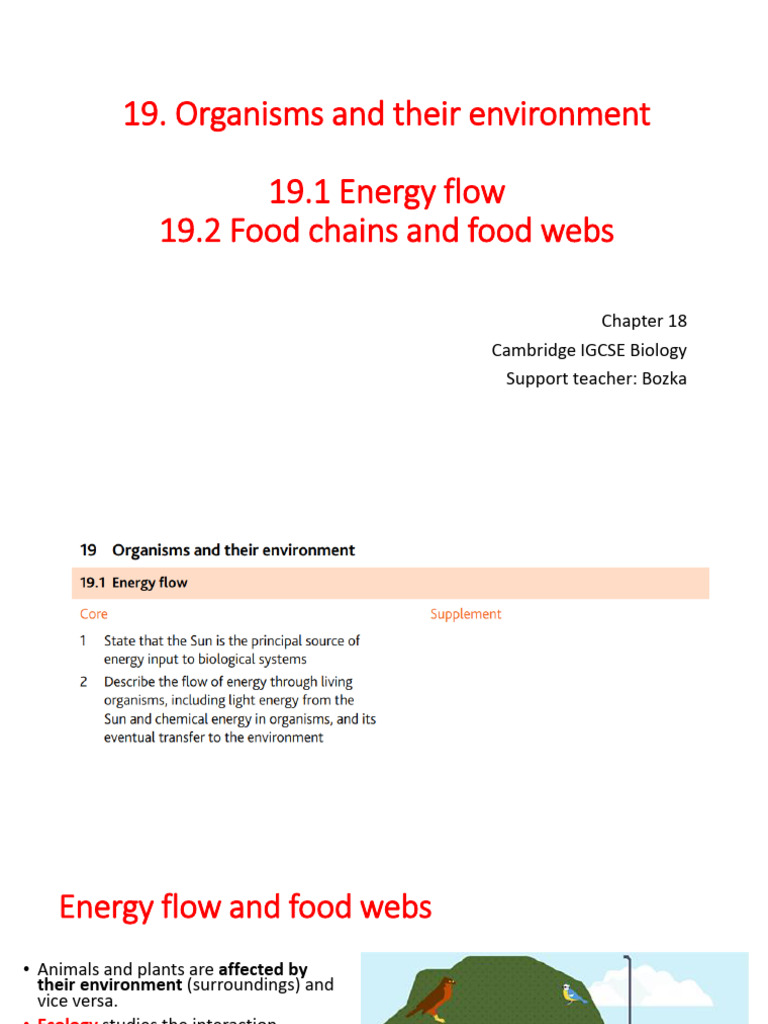 19 Organisms and Their Environment | PDF | Food Web | Foods