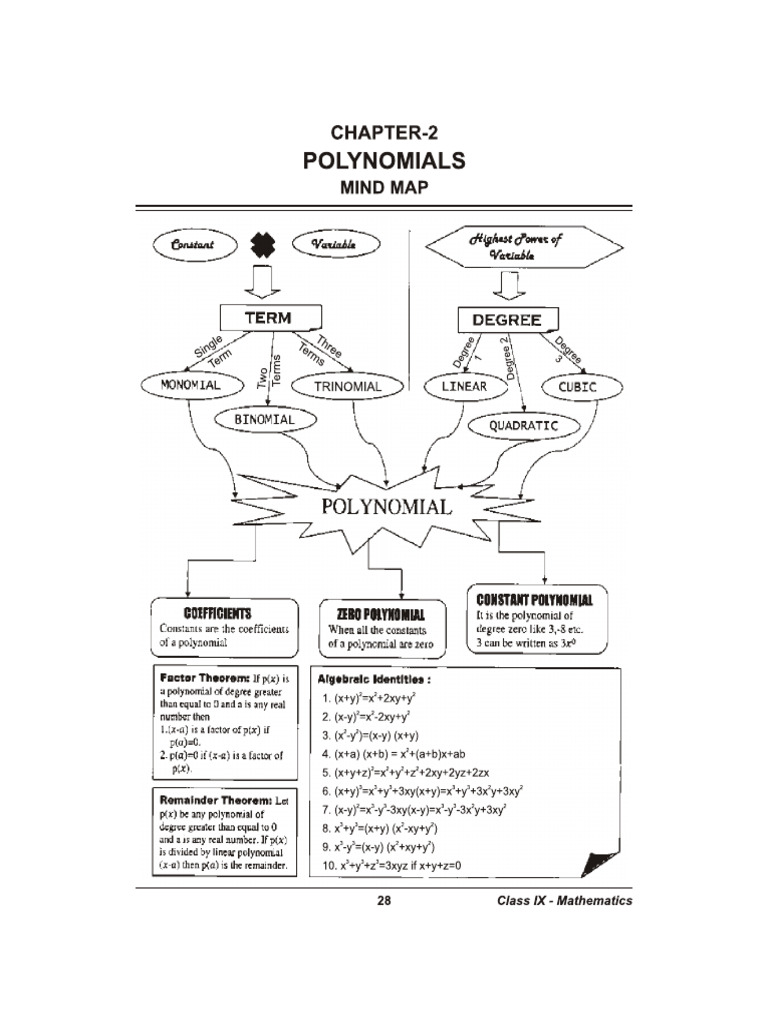 Polynomials | PDF