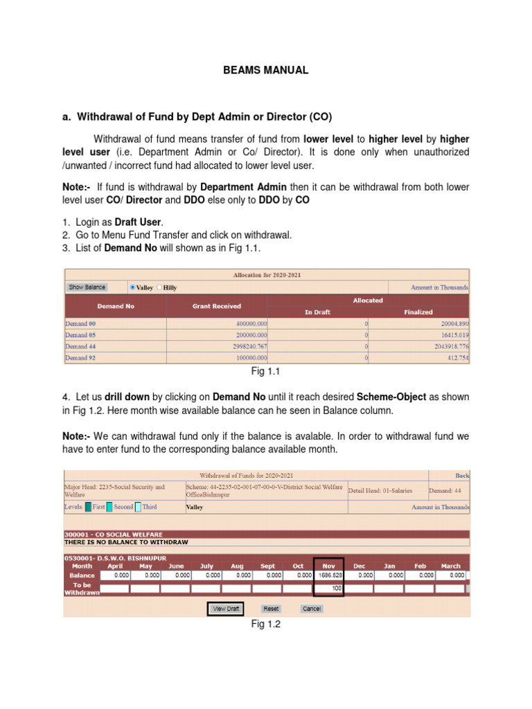 BEAMSManual Withdrawal Fund | PDF