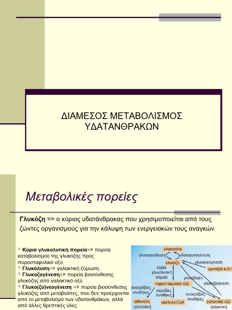 Μεταβολισμός Υδατανθράκων | PDF