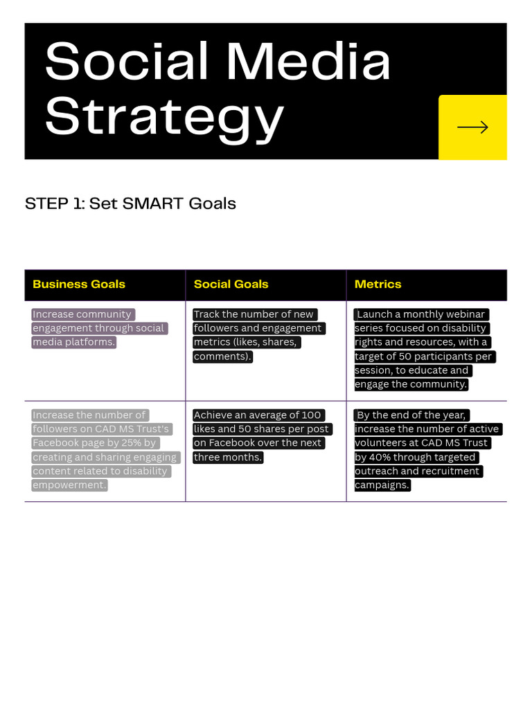 Social Media Strategy | PDF | Non Governmental Organization | Public Sphere