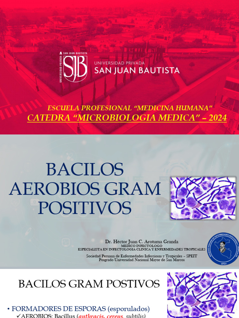 Tema 5 Bacilos Gram Positivos | PDF | Ántrax | Bacilo