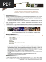 Indicaciones de Suero Antiviperino | PDF | Rtt | Especialidades Medicas