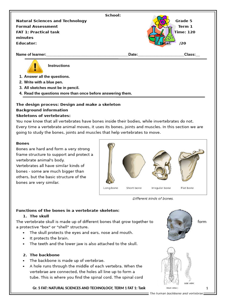 Grade 5 NST FAT 1 (20 Marks) Design and Make A Skeleton | PDF ...