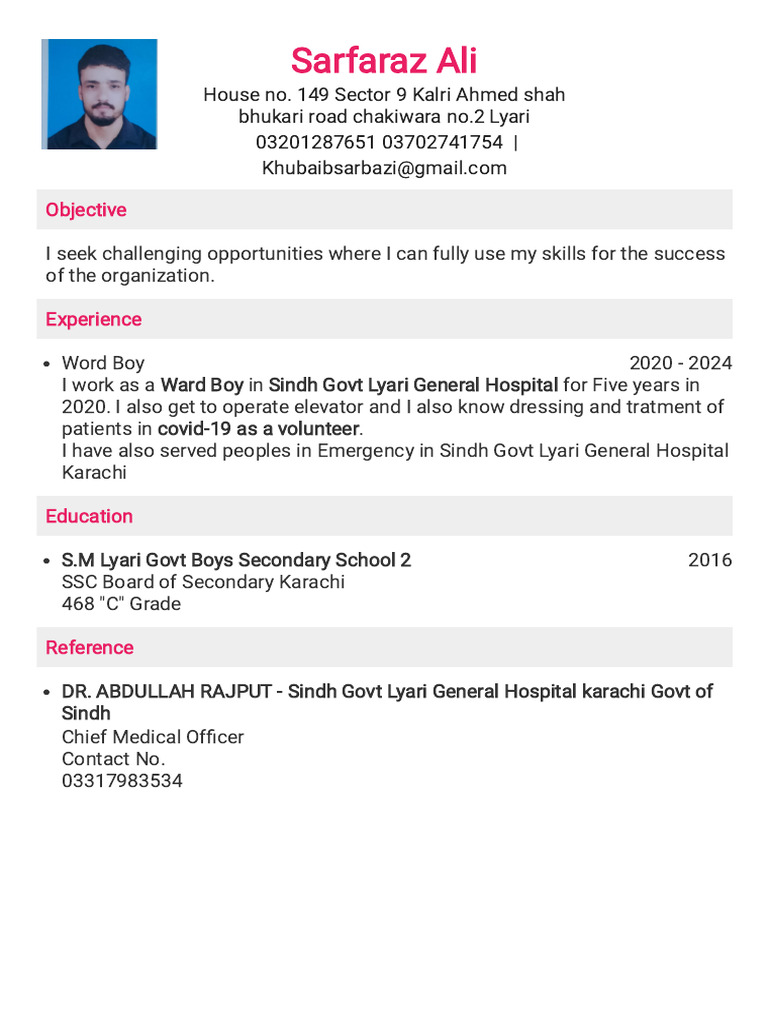 Sarfaraz Ali CV 2 | PDF