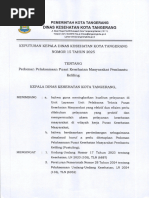V8 Panduan Penyelenggaraan Pustu - Kemenkes | PDF