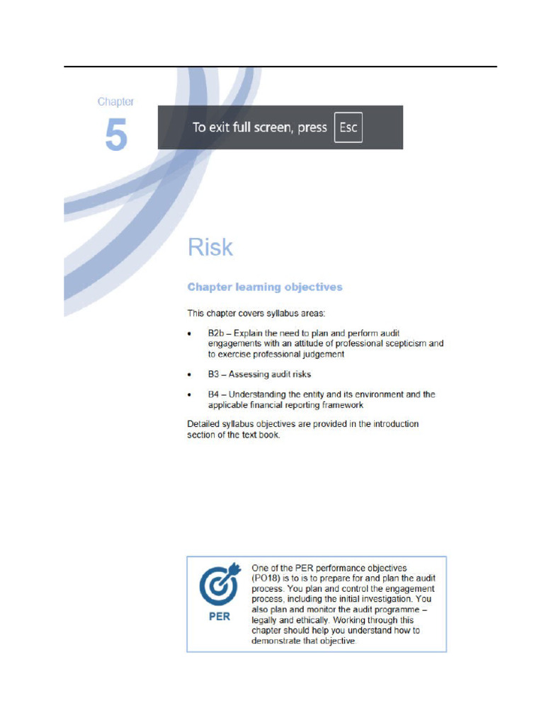 Chapter 5 Risk | PDF