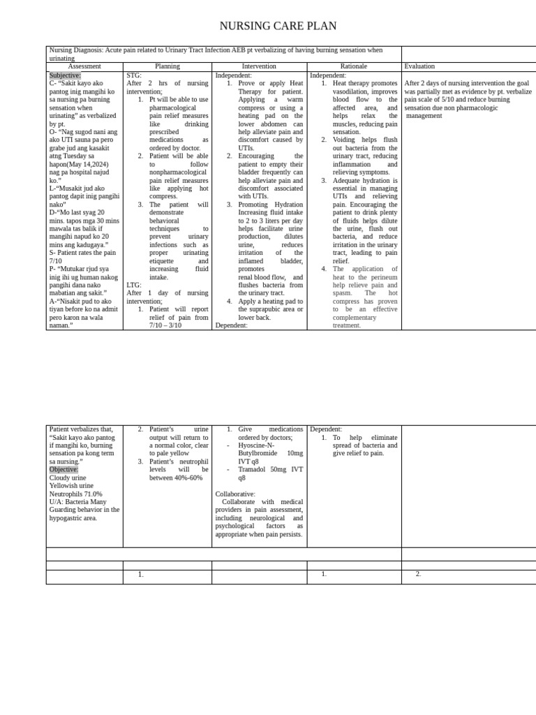 Nursing Care Plan for UTI Management | PDF | Urinary Tract Infection ...