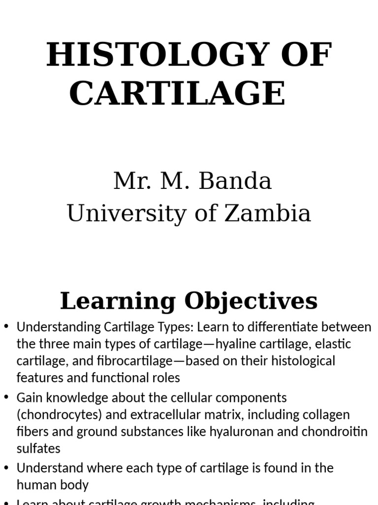 Histology of Cartilage | PDF | Cartilage | Extracellular Matrix