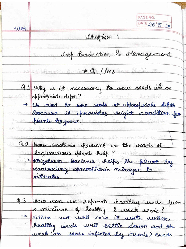 Chapter 1 Science (Question and Answer) | PDF