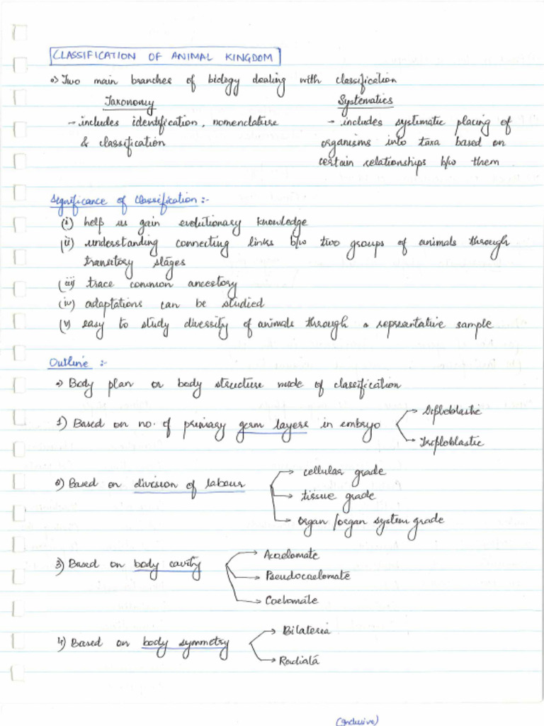 Zoology Notes Non Chordates | PDF