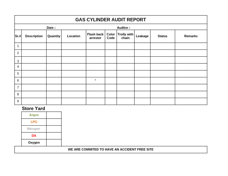 Gas Cylinder Audit Summary | PDF