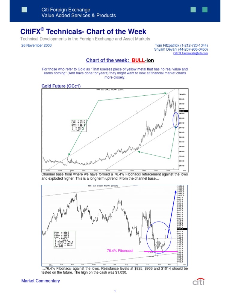 Citi Corporate Solutions | PDF | Citigroup | Investing