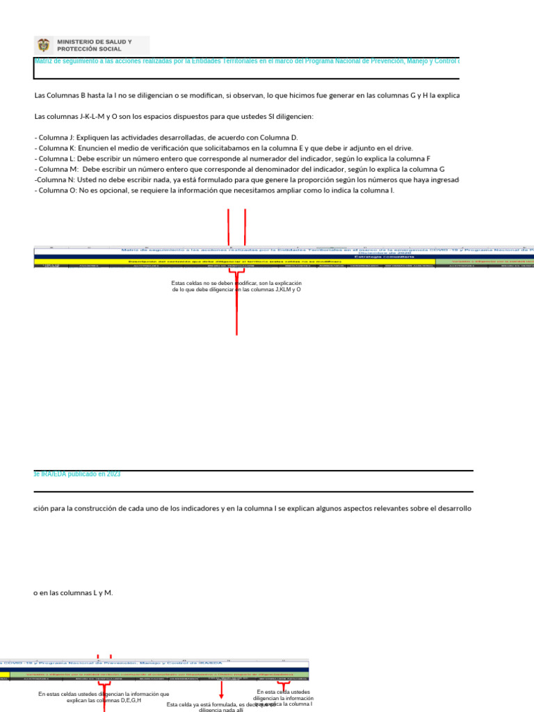 Matriz Seguimiento Programa Ira - Eda 2024 Segundo Semestre | PDF | Cuidado de la salud