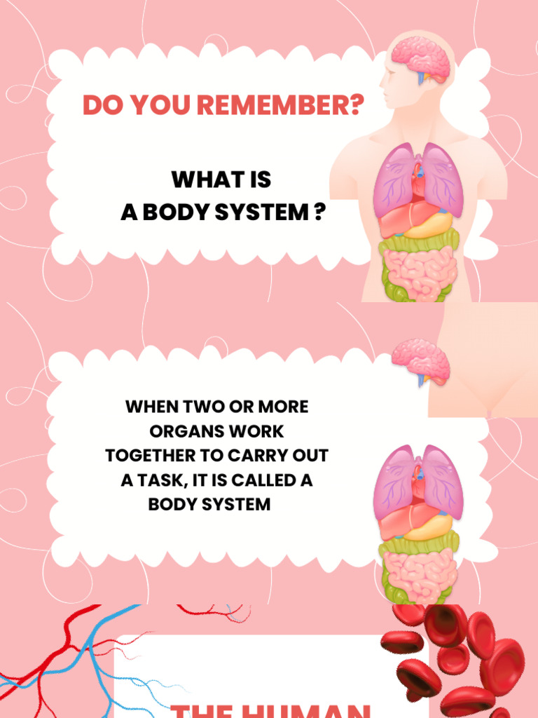 Circulatory System - Intro, Blood and Blood Vessels | PDF | Blood | Artery
