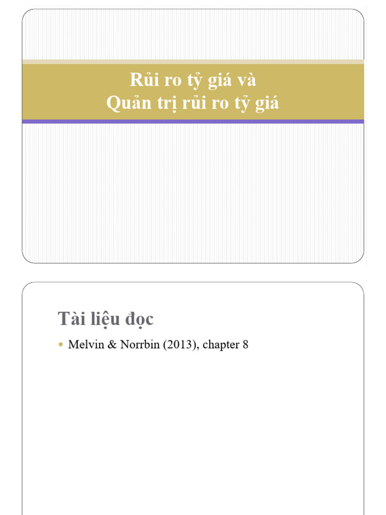 C7 Rui Ro Ty Gia Va Quan Tri Rui Ro Ty Gia | PDF