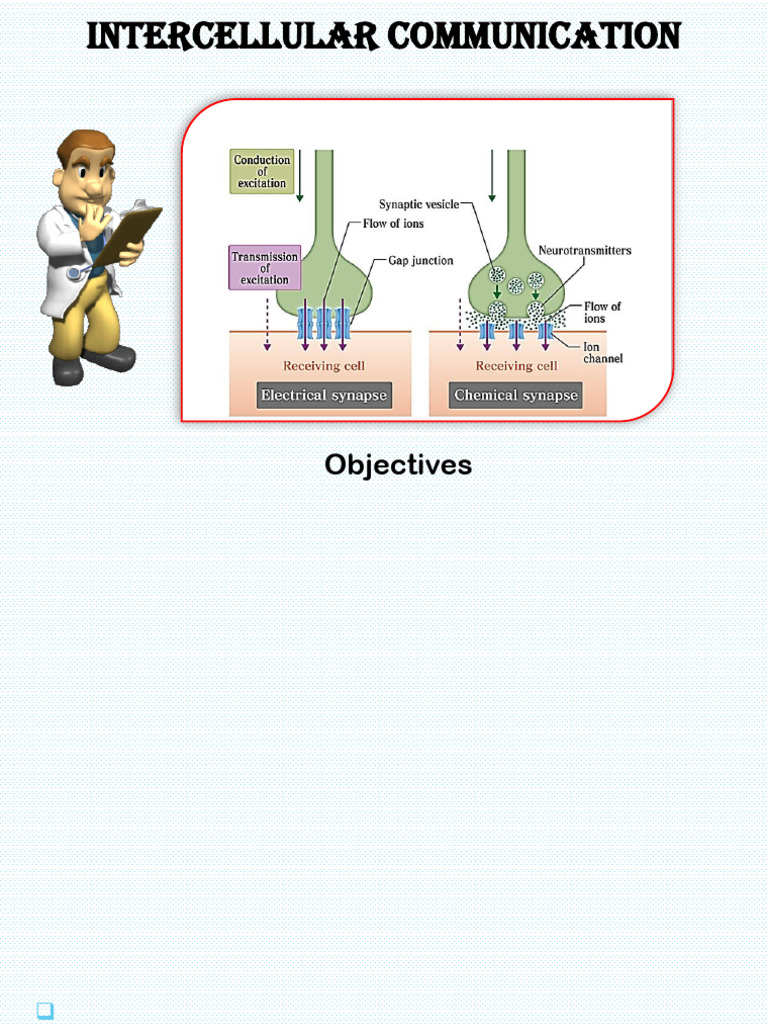 Intercellular Communication | PDF | Cell Signaling | Synapse