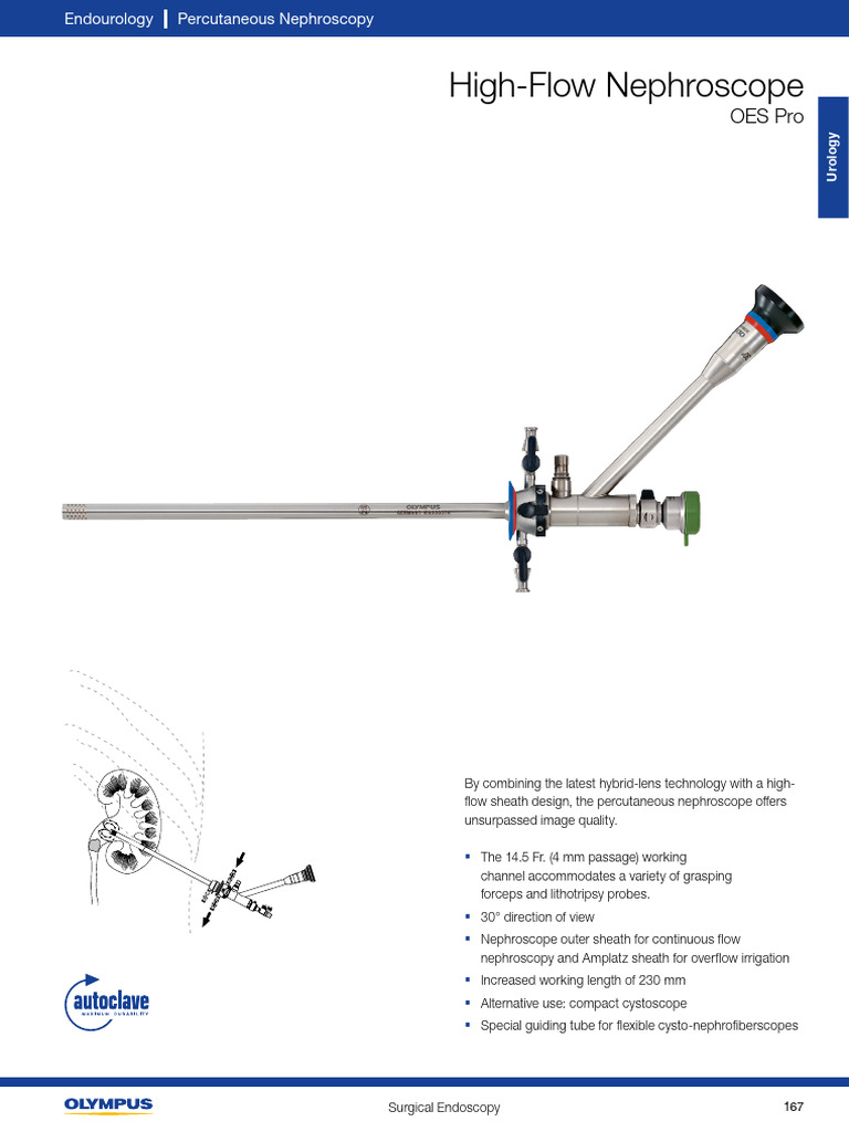 Adult PCNL Full Set Brochure | PDF | Urology | Kidney