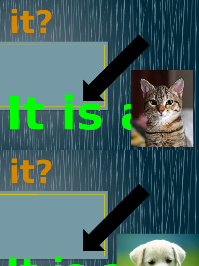 2nd Grade Pets Exercises | PDF