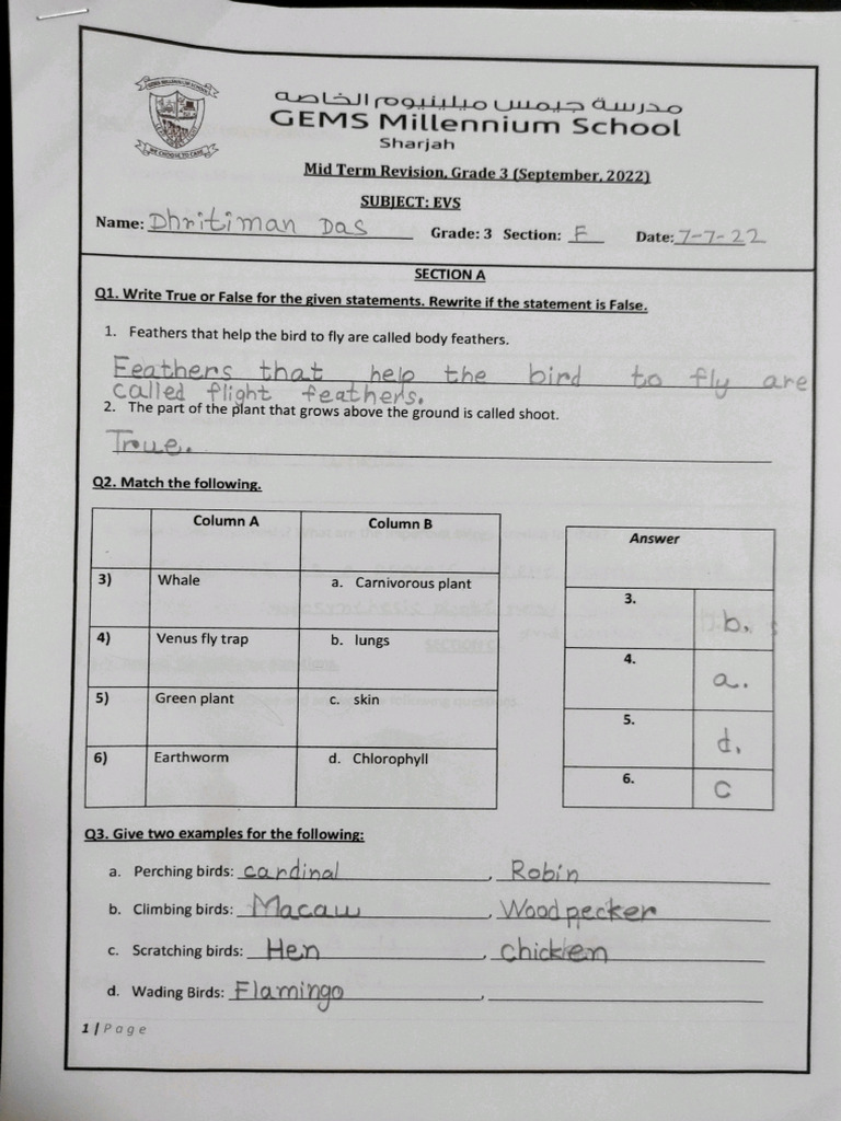EVS Holiday homework | PDF