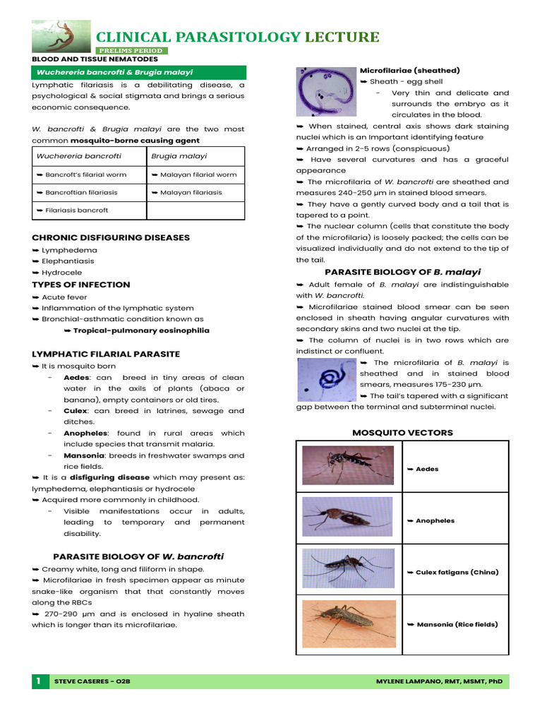 Blood and Tissue Nematodes Overview | PDF | Diseases And Disorders ...