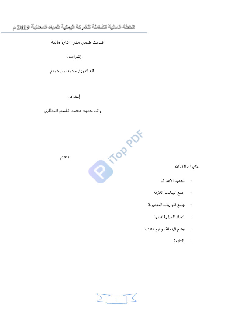 Ready Company Financial Plan Template | PDF