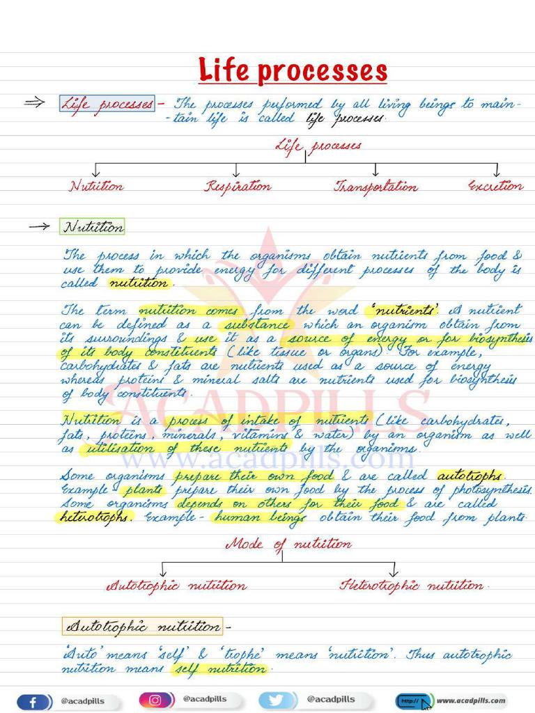 CH 6 - Life Processes - Nutrition 1 | PDF