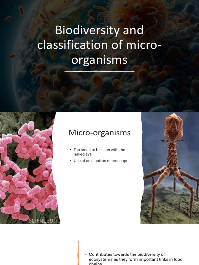 Biodiversity and Classification of Micro-Organisms - Virus-1 | PDF | Bacteria | Hiv/Aids