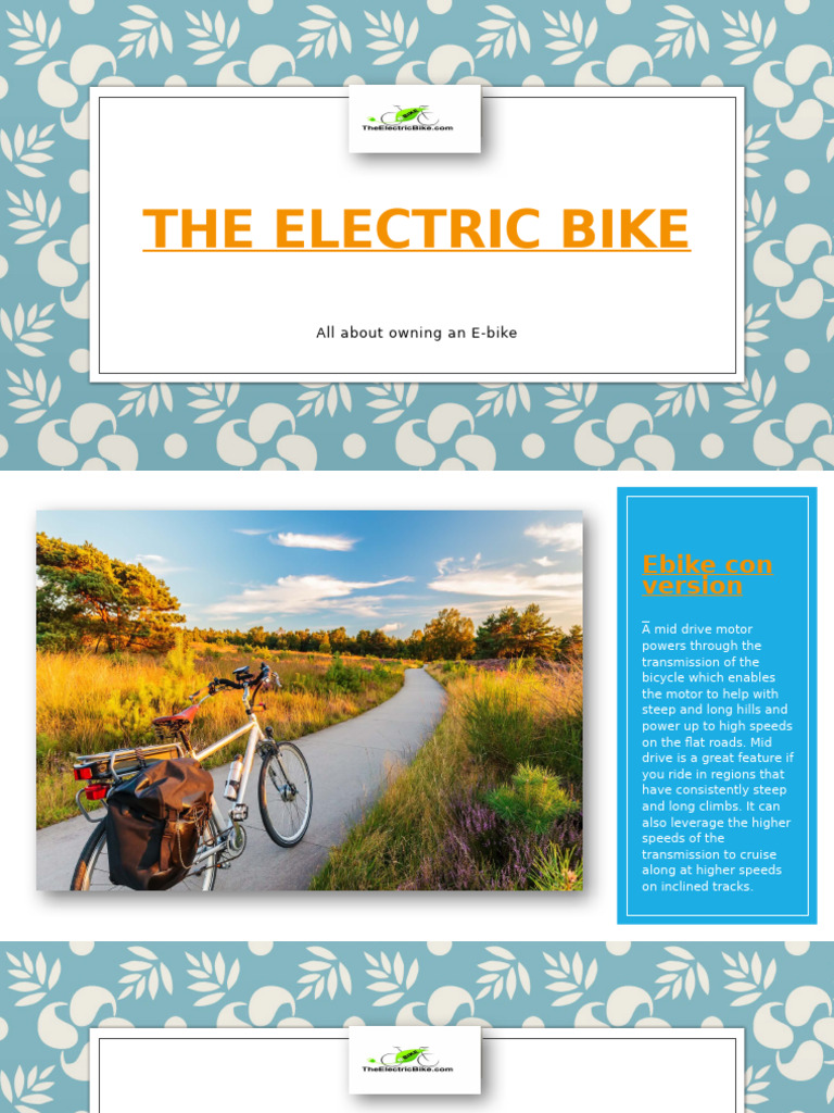 Essential Guide to Electric Bikes | PDF
