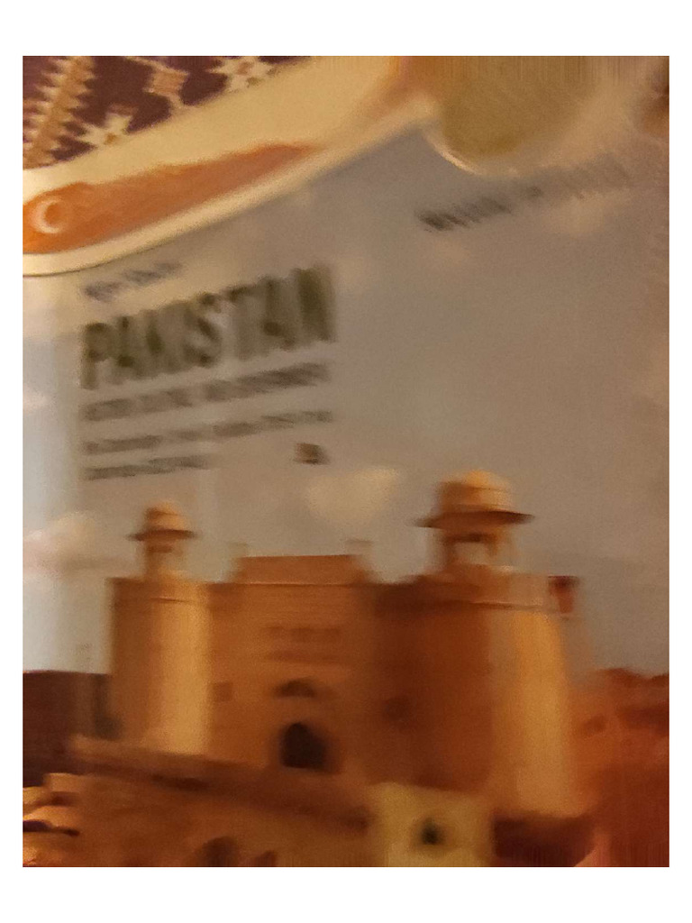 History Book (Olevels) | PDF